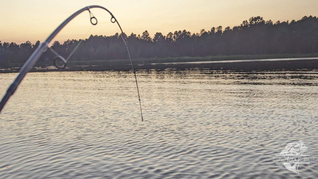 Crappie Fishing Rod Action Explained: Fast vs. Moderate vs. Slow